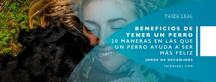Descubre los beneficios de tener un perro y cómo aumenta tu felicidad ...